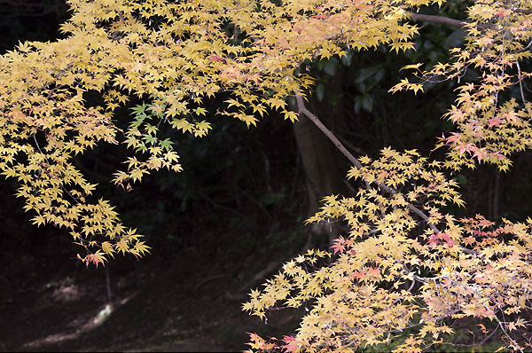 유토이미지 | 37423-0000688