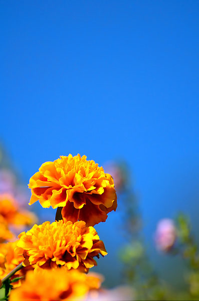 유토이미지 | 37426-0000750