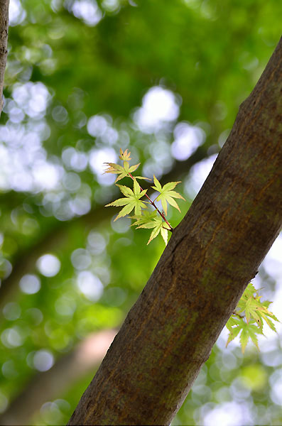 유토이미지 | 37426-0001380