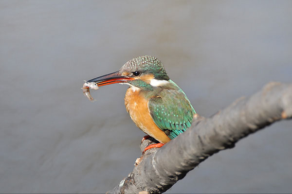 유토이미지 | 37435-0000562