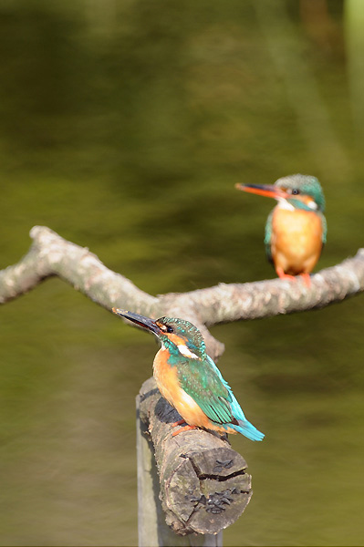 유토이미지 | 37435-0000756