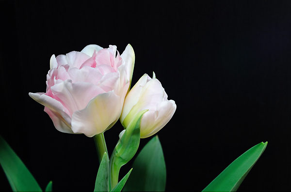 유토이미지 | 37435-0000830