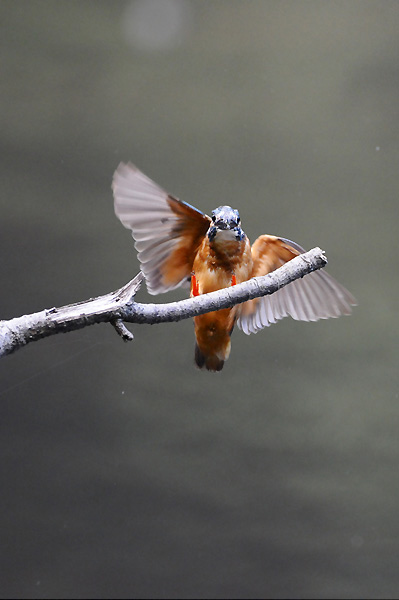 유토이미지 | 37435-0001102