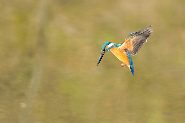 유토이미지 | 37435-0001509