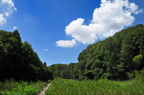 유토이미지 | 37435-0002297