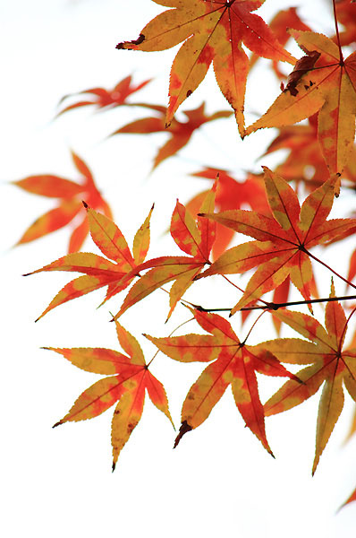 유토이미지 | 37447-0000141