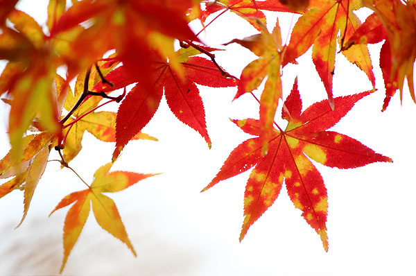 유토이미지 | 37447-0000144