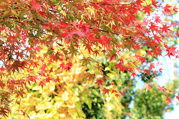 유토이미지 | 37447-0000148