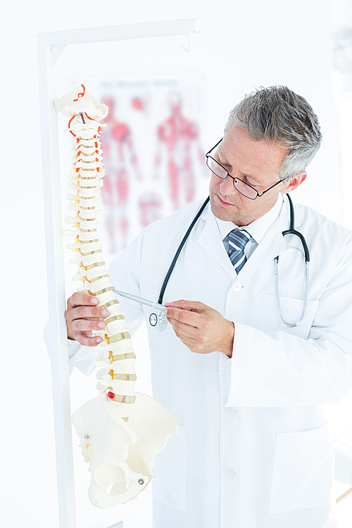 유토이미지 | Doctor showing anatomical spine with his pen in clinc