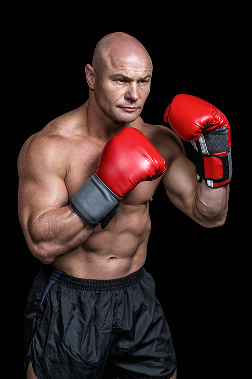 유토이미지 | Bald boxer with red gloves