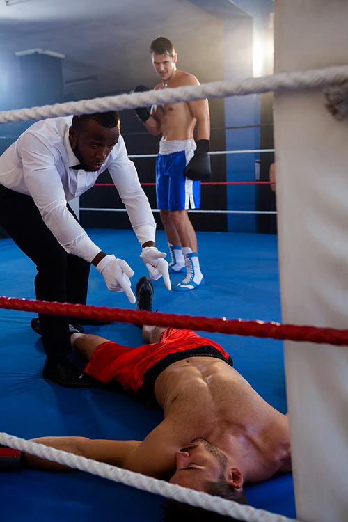 Referee counting by unconscious male boxer in boxing ring | 유토이미지 | 상세 ...