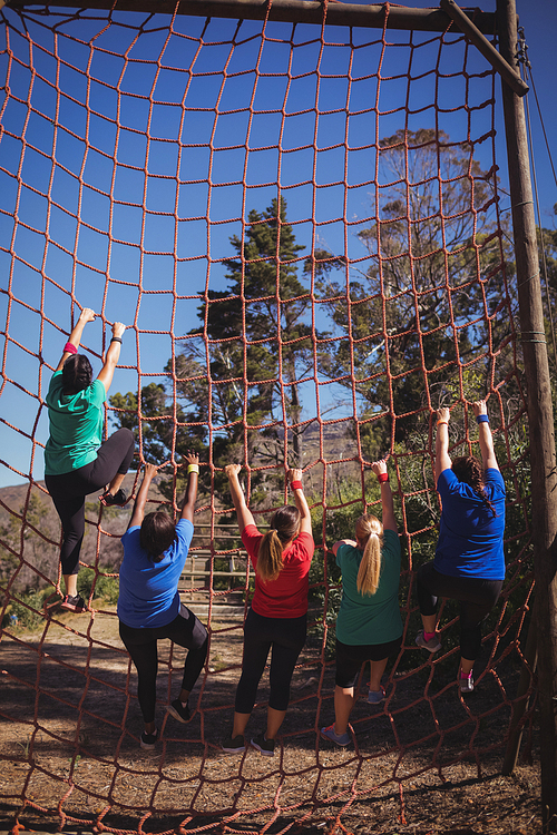 Group of fit woman climbing a net during obstacle course training in ...