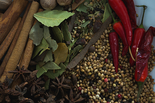 Close-up of various spices on white background | 유토이미지 | 상세페이지 | 베이직샵 ...