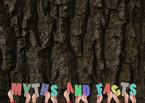 유토이미지 | Digital composite image of hands holding myths and facts ...