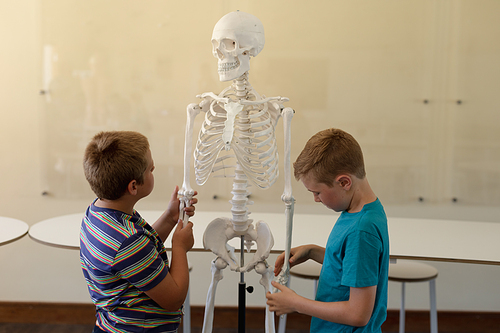 Side view of two Caucasian elementary school boys working with a model ...
