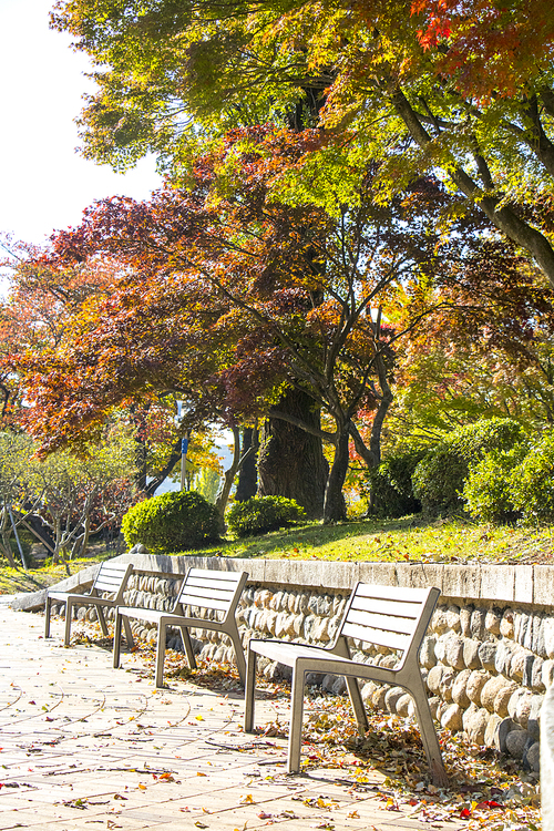 D171107 | 유토이미지 검색 결과