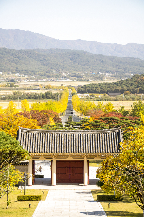 D171107 | 유토이미지 검색 결과