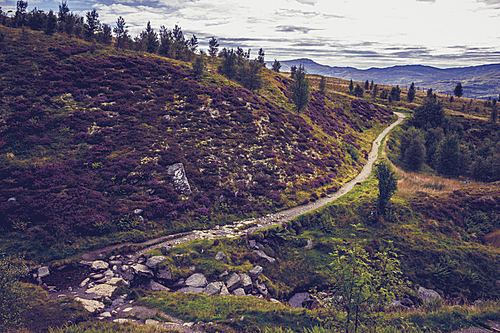 Long and winding trail in the mountains | 유토이미지 | 상세페이지 | 베이직샵 | 사진 ...