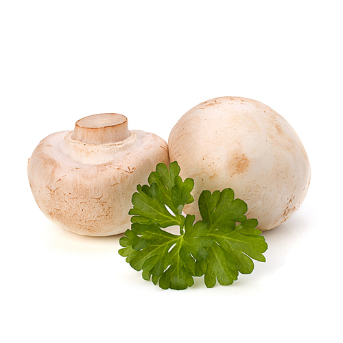 유토이미지 | Champignon mushroom isolated on white