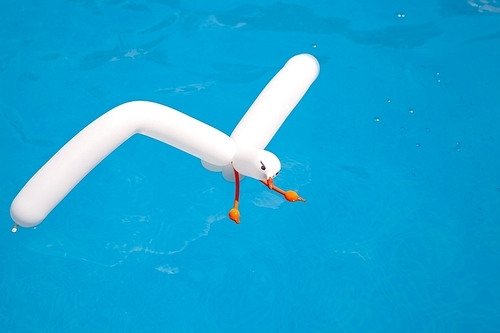 유토이미지 | air balloon seagull floating in aqua water pretending to swim