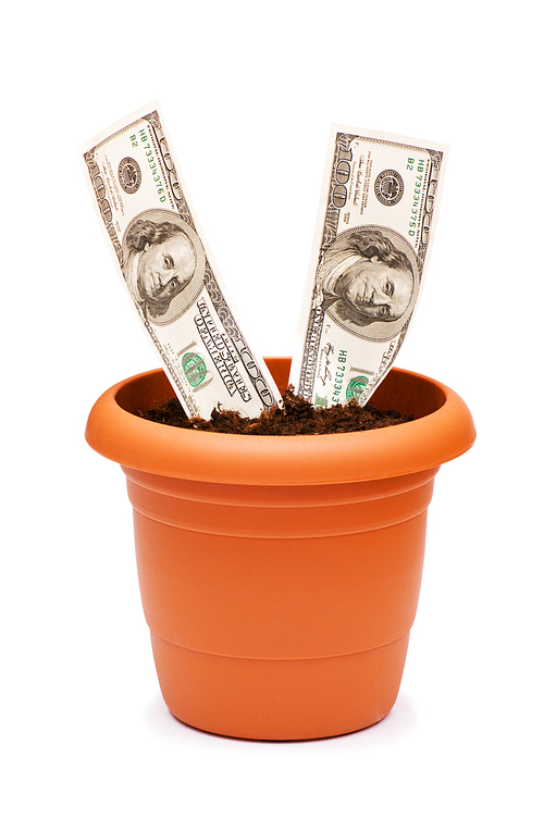 유토이미지 | Dollars growing in the pot isolated on white