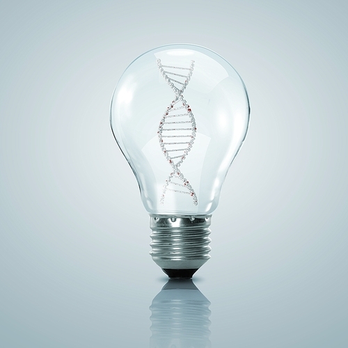 Human DNA strand inside a electric light bulb | 유토이미지 | 상세페이지 | 베이직샵 ...