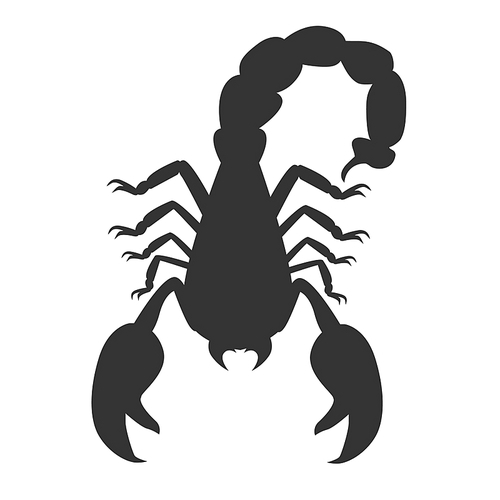 Scorpion animal isolated on white . Deadly poisonous black scorpion ...