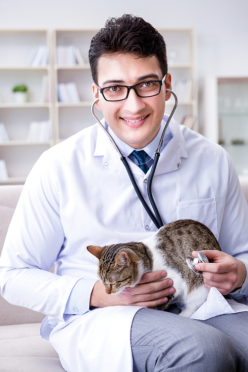 유토이미지 | Cat visiting vet for regular check up