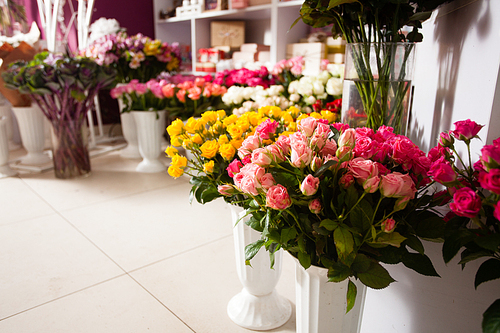 Collection of beautiful roses for sale at a floristic shop | 유토이미지 | 상세 ...