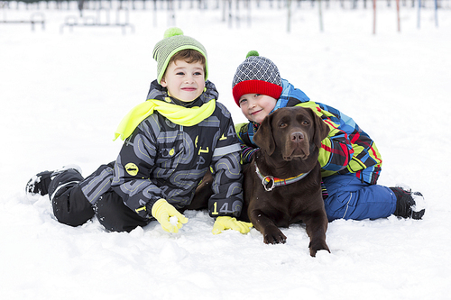 유토이미지 | Kids of school age with dog in winter park