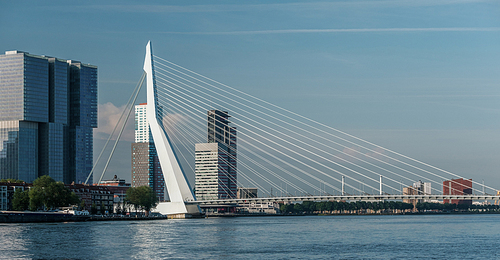 유토이미지 | Rotterdam city cityscape skyline with Erasmus bridge and Nieuwe ...
