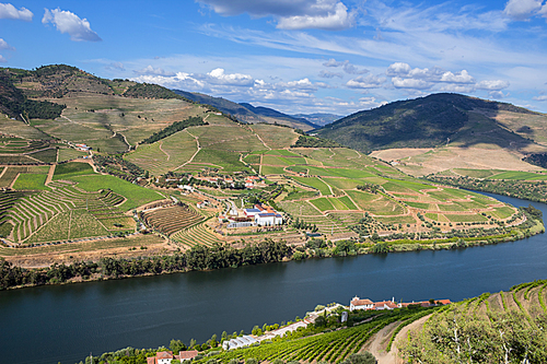 Douro Valley. Vineyards landscape of the Porto wine, near Pinhao ...