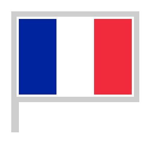 France flag on flagpole, rectangular shape icon on white background ...