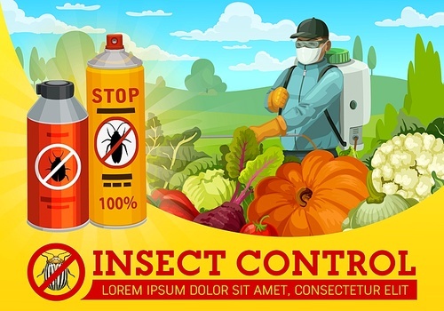 Insect and pest control. Worker spraying an insecticide with pressure ...