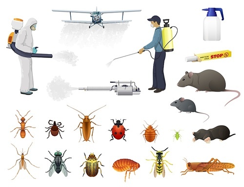 Disinfection, pest control, vector men in protective suits and airplane ...