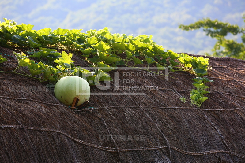 유토이미지 | 박넝쿨