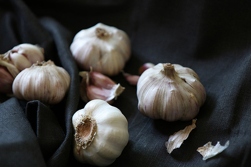 G180605 | 유토이미지 검색 결과