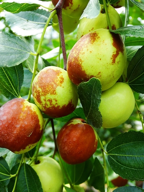 명품 | 유토이미지 검색 결과