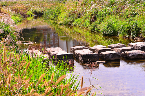 유토이미지 | 우리의 옛 전통방식의 징검다리가 가을로 물드는 시냇가를 배경으로 정감있게 놓여져있는 풍경