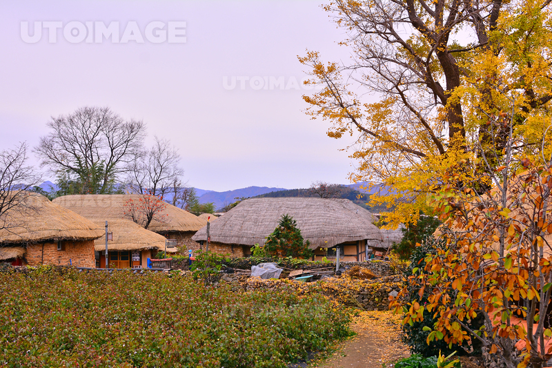 우리의 옛 생활상과 마을주택의 구조들을 잘 보존하고 있는 우리나라 대표적인 민속마을중에 제일 규모가 큰 낙안읍성의 정겹고 웬지 푸근하고 정감이 가는 마을과 초가집의 늦가을