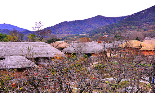 유토이미지 우리의 옛 생활상과 마을주택의 구조들을 잘 보존하고 있는 우리나라 대표적인 민속마을중에 제일 규모가 큰 낙안읍성의 정겹고 웬지 푸근하고 정감이 가는 마을과