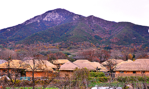 우리의 옛 생활상과 마을주택의 구조들을 잘 보존하고 있는 우리나라 대표적인 민속마을중에 제일 규모가 큰 낙안읍성의 정겹고 웬지 푸근하고 정감이 가는 마을과 초가집의 늦가을