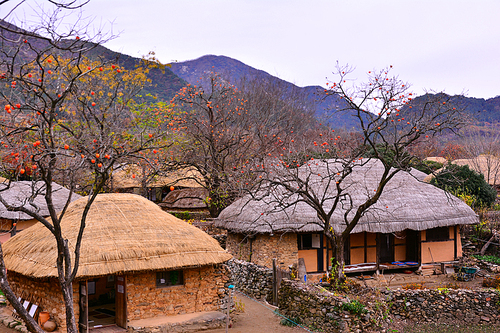 유토이미지 상세페이지 베이직샵 20748557 우리의 옛 생활상과 마을주택의 구조들을 잘 보존하고 있는 우리나라 대표적인 민속마을중에 제일 규모가 큰 낙안