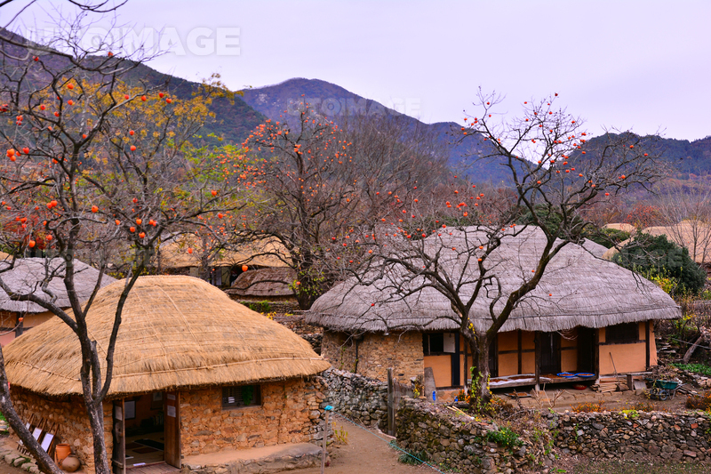 유토이미지 상세페이지 베이직샵 20748557 우리의 옛 생활상과 마을주택의 구조들을 잘 보존하고 있는 우리나라 대표적인 민속마을중에 제일 규모가 큰 낙안