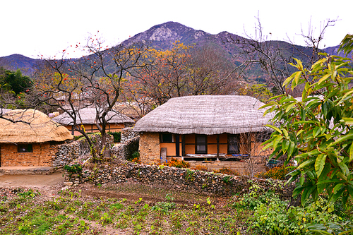 우리의 옛 생활상과 마을주택의 구조들을 잘 보존하고 있는 우리나라 대표적인 민속마을중에 제일 규모가 큰 낙안읍성의 정겹고 웬지 푸근하고 정감이 가는 마을과 초가집의 늦가을
