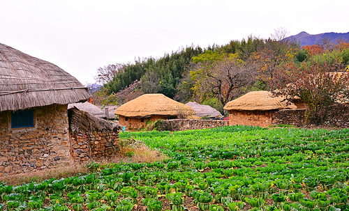 유토이미지 우리의 옛 생활상과 마을주택의 구조들을 잘 보존하고 있는 우리나라 대표적인 민속마을중에 제일 규모가 큰 낙안읍성의 정겹고 웬지 푸근하고 정감이 가는 마을과