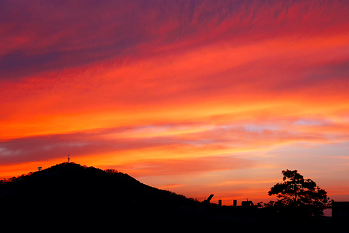 선셋 | 유토이미지 검색 결과