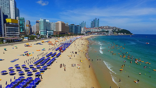 부산 해운대 바닷가에 일렬로 나란히 펼쳐진 파라솔과 물놀이 즐기는 사람들 | 유토이미지 | 상세페이지 | 베이직샵 | 사진 ...