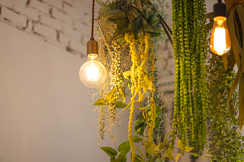 테라스에 꾸며놓은 조명과 가드닝 | 유토이미지 | 상세페이지 | 베이직샵 | 사진 | 20917465