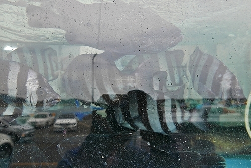 돔 | 유토이미지 검색 결과